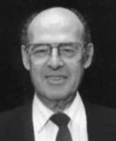 A New Paradigm in Manual Therapy: Abandoning Segmental Motion Palpation ...